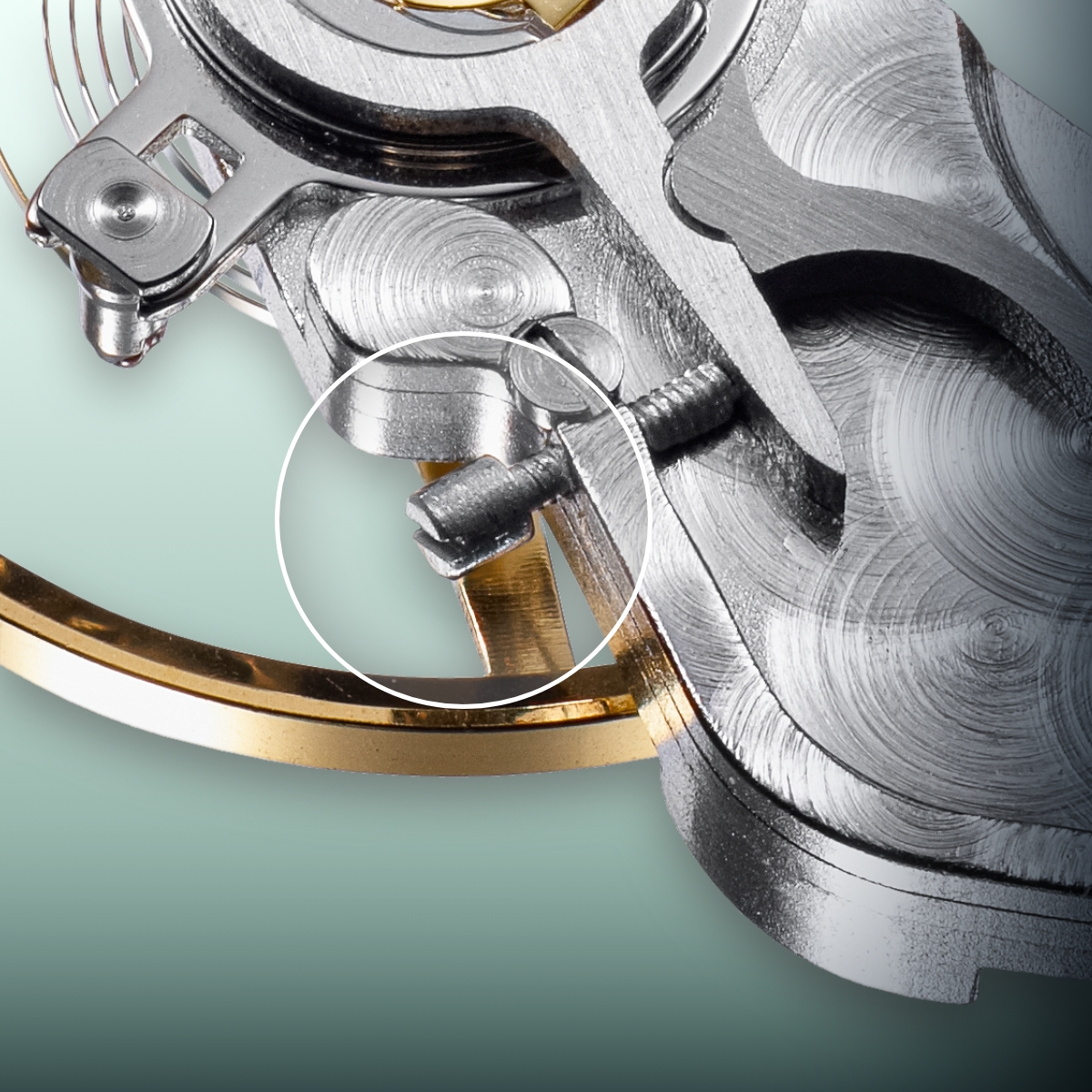 Particularly robust: Woodpecker neck regulation | Mühle-Glashütte